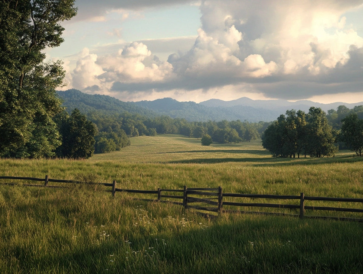 Pasture Management in Texas: Tips for Healthy Horse Grazing – XLR8 Equine