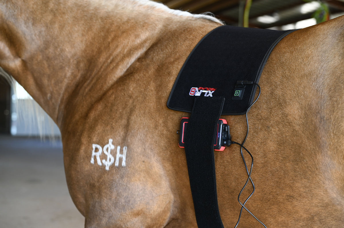 Redline VersaWrap – XLR8 Equine