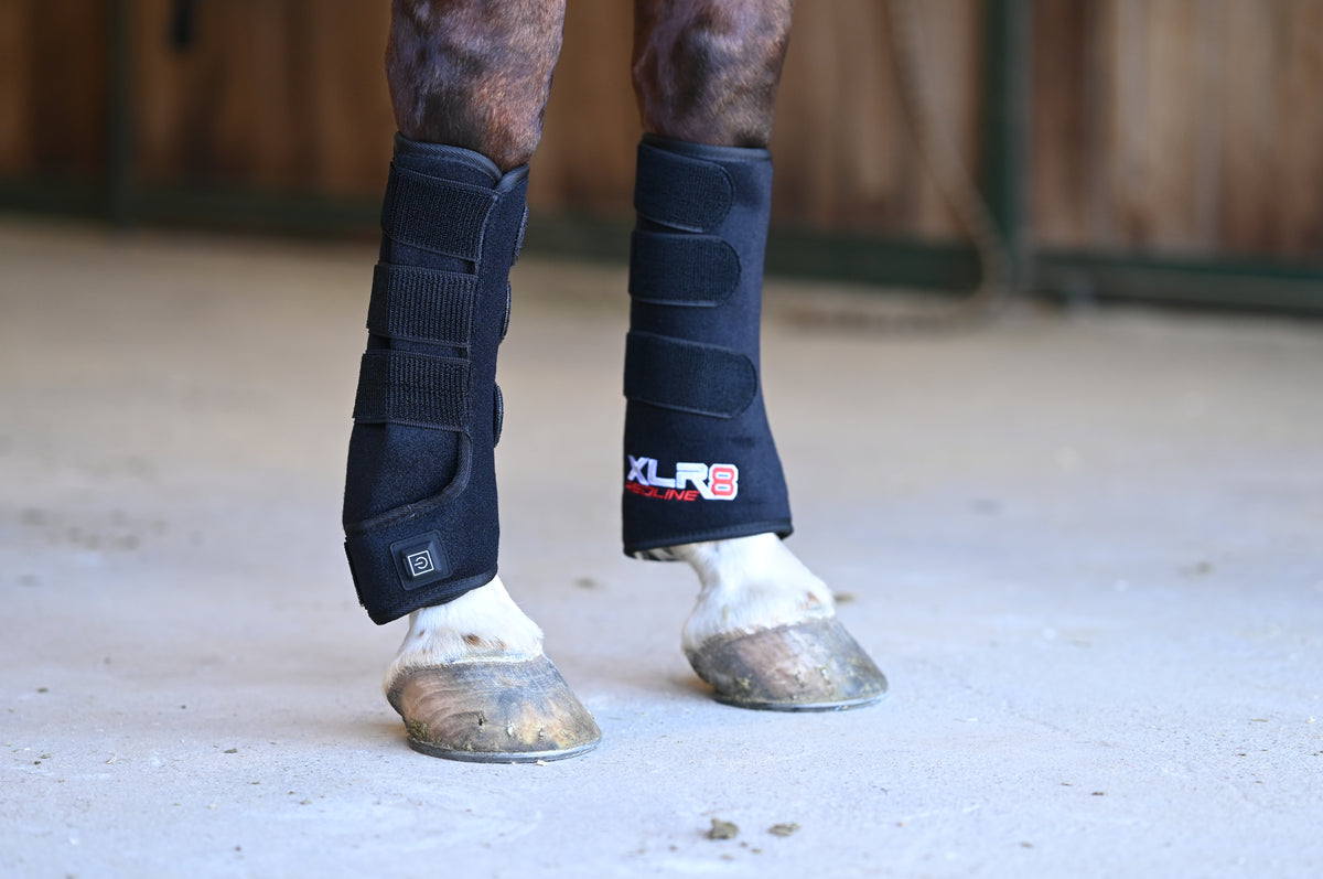 Redline Tendon Wrap - Pair – XLR8 Equine